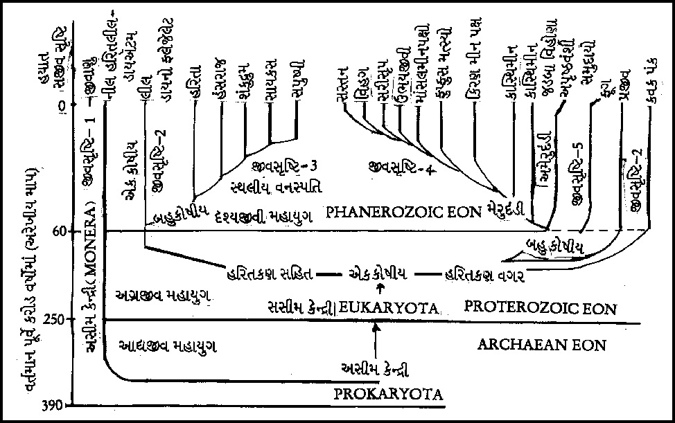 વર્ગીકરણ (જીવવિજ્ઞાન) – Gujarati Vishwakosh – ગુજરાતી વિશ્વકોશ