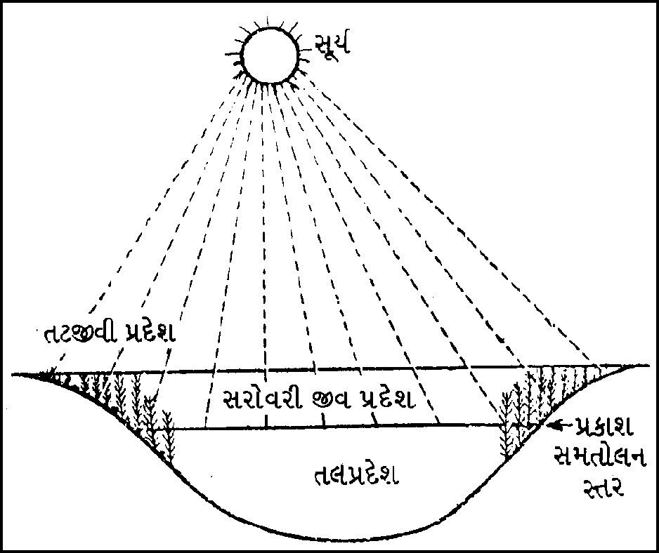વસવાટ (habitat) – Gujarati Vishwakosh – ગુજરાતી વિશ્વકોશ